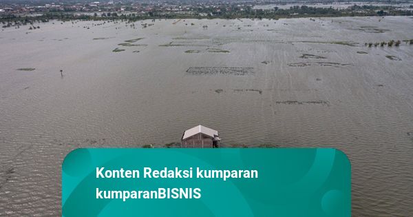 Jokowi Lanjutkan Bantuan Rp 8 Juta per Hektar buat Petani Gagal Panen | kumparan.com